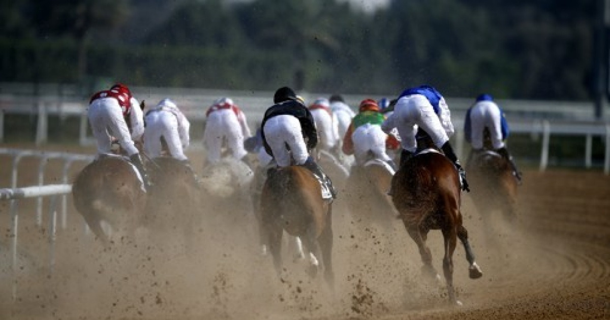 UAE HORSE RACING DUBAI WORLD CUP 2018