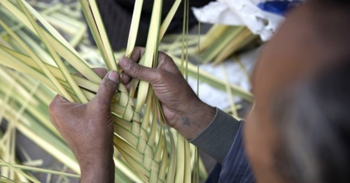 EGYPT PALM SUNDAY PREPARATIONS