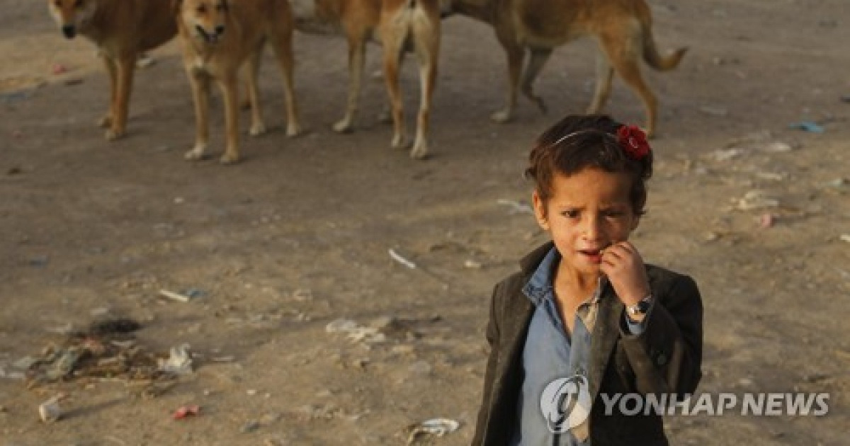 YEMEN ANIMALS