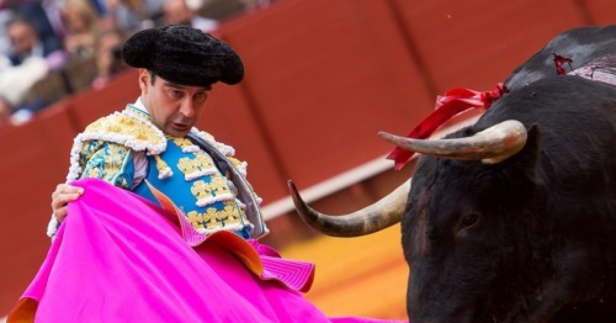 SPAIN BULLFIGHTING