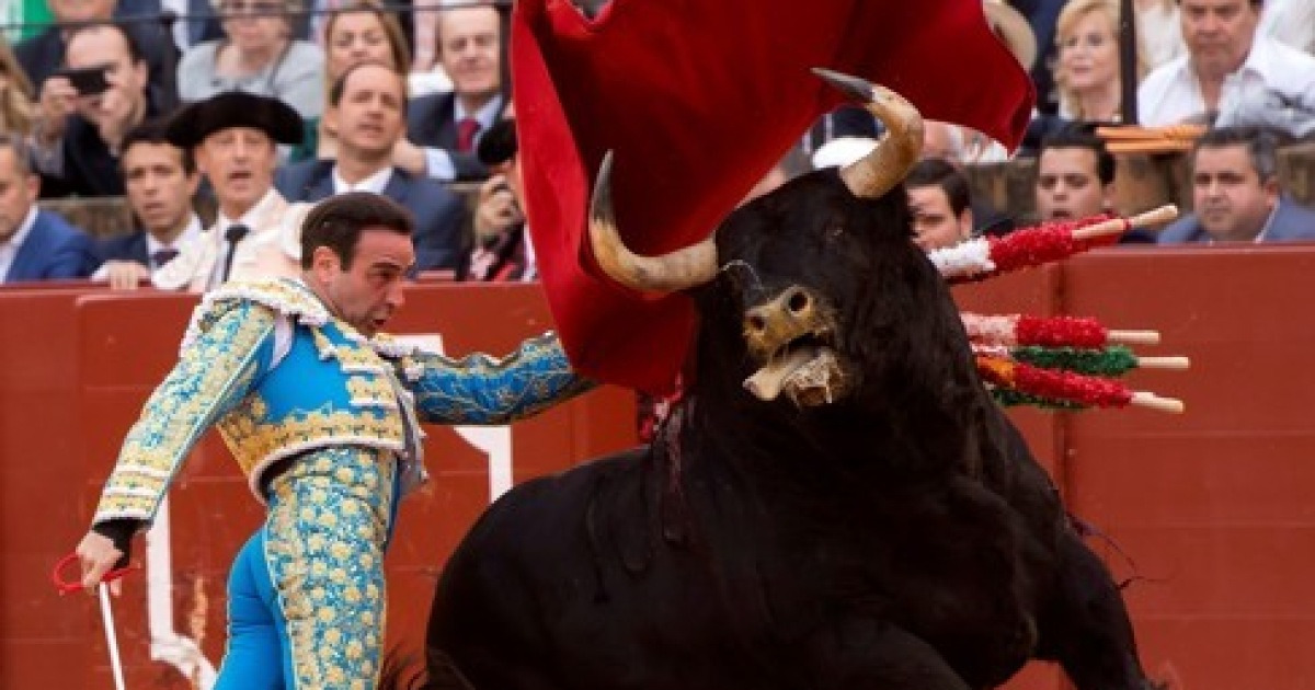 SPAIN BULLFIGHTING