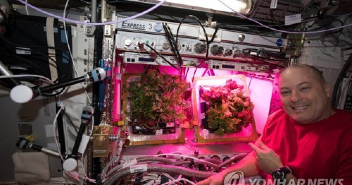 SPACE ISS SALAD