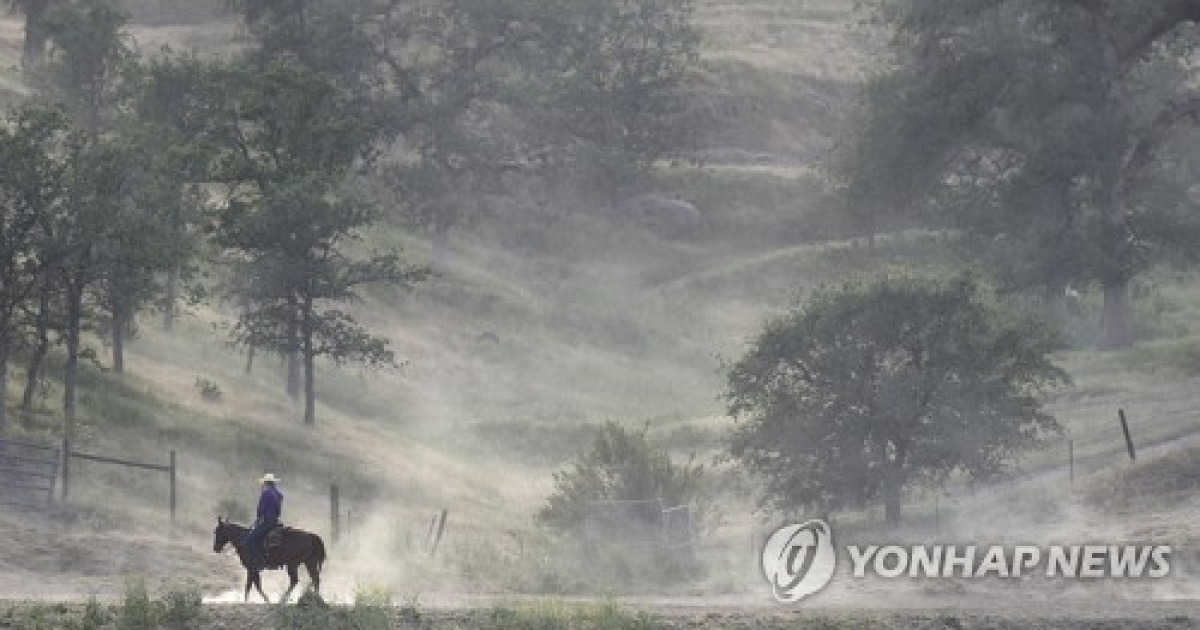 Springville Sierra Rodeo