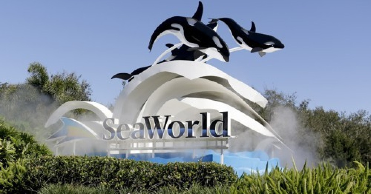 Earns SeaWorld
