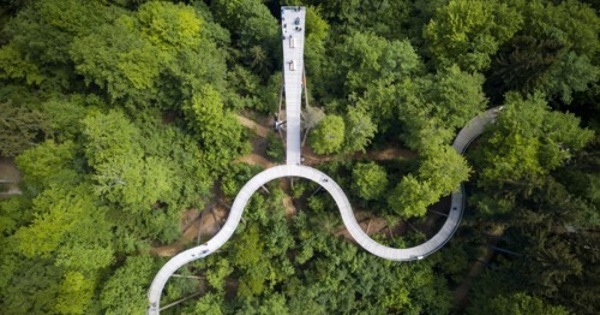 epaselect SWITZERLAND LEISURE TREE TO TRAIL