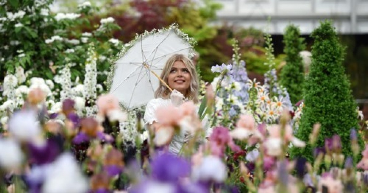 BRITAIN CHELSEA FLOWER SHOW