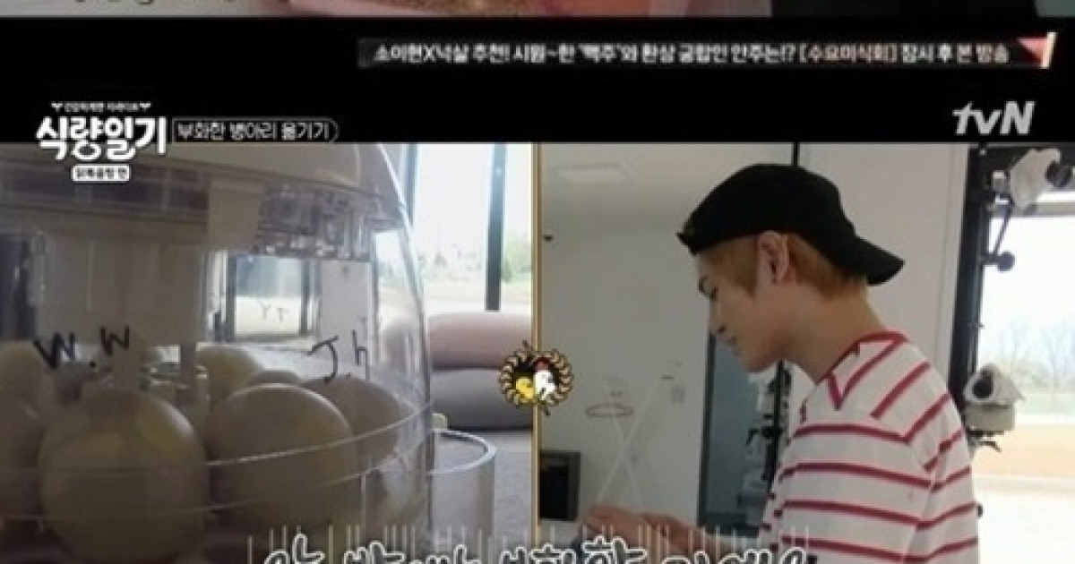 Animal rights activists call for cancellation of 'Food Diary'