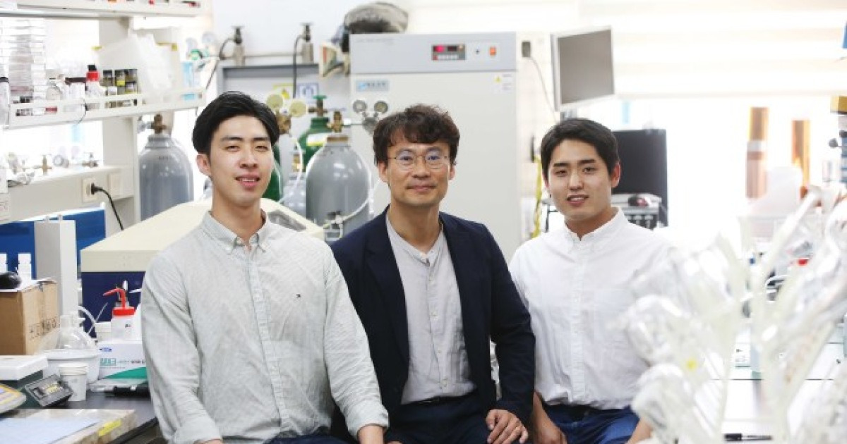 KAIST, 수명 5배 늘린 '바나듐레독스-흐름전지' 개발