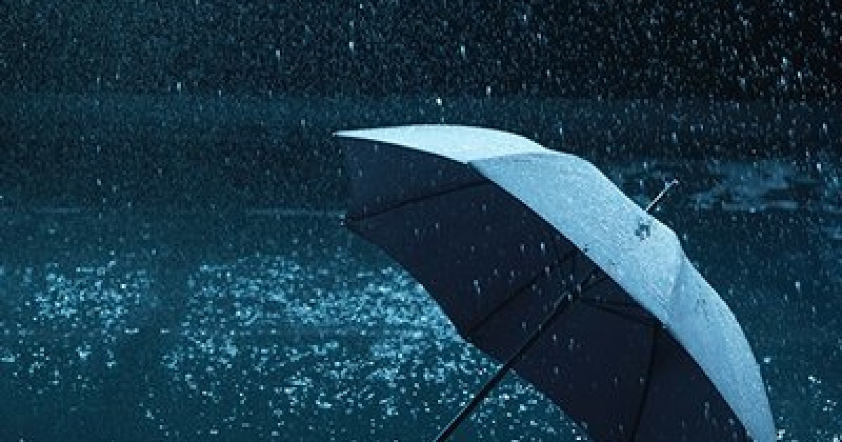 [yes+ Life]장마철, 굳이 비맞으며 쇼핑 하실 건가요?