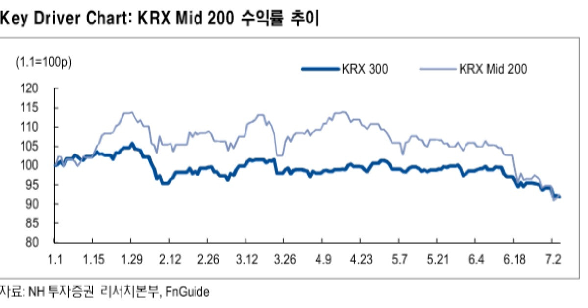 "대형주 주도 약세..틈새전략 KRX Mid 200 지수 주목"-NH