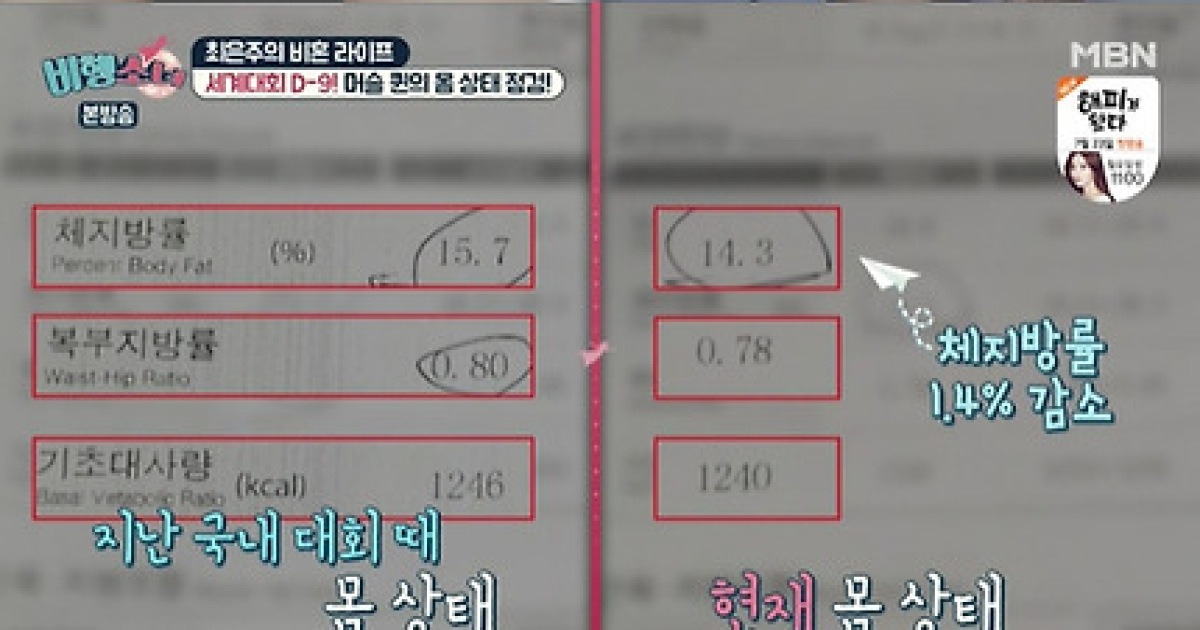 '머슬퀸' 최은주 "몸무게 45kg에 근육량 22kg·체지방 12kg" 비법+식단 공개