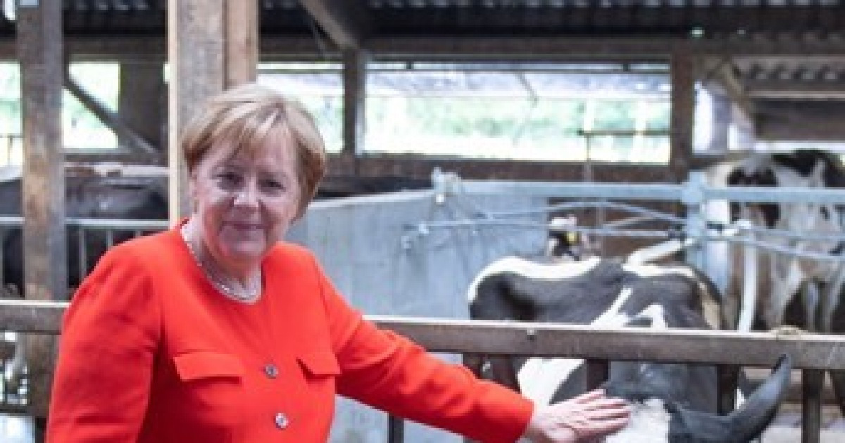 GERMANY MERKEL FARM VISIT