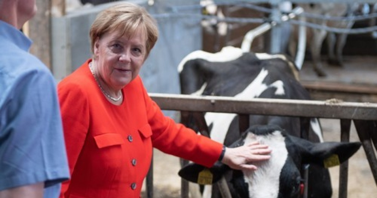 GERMANY MERKEL FARM VISIT