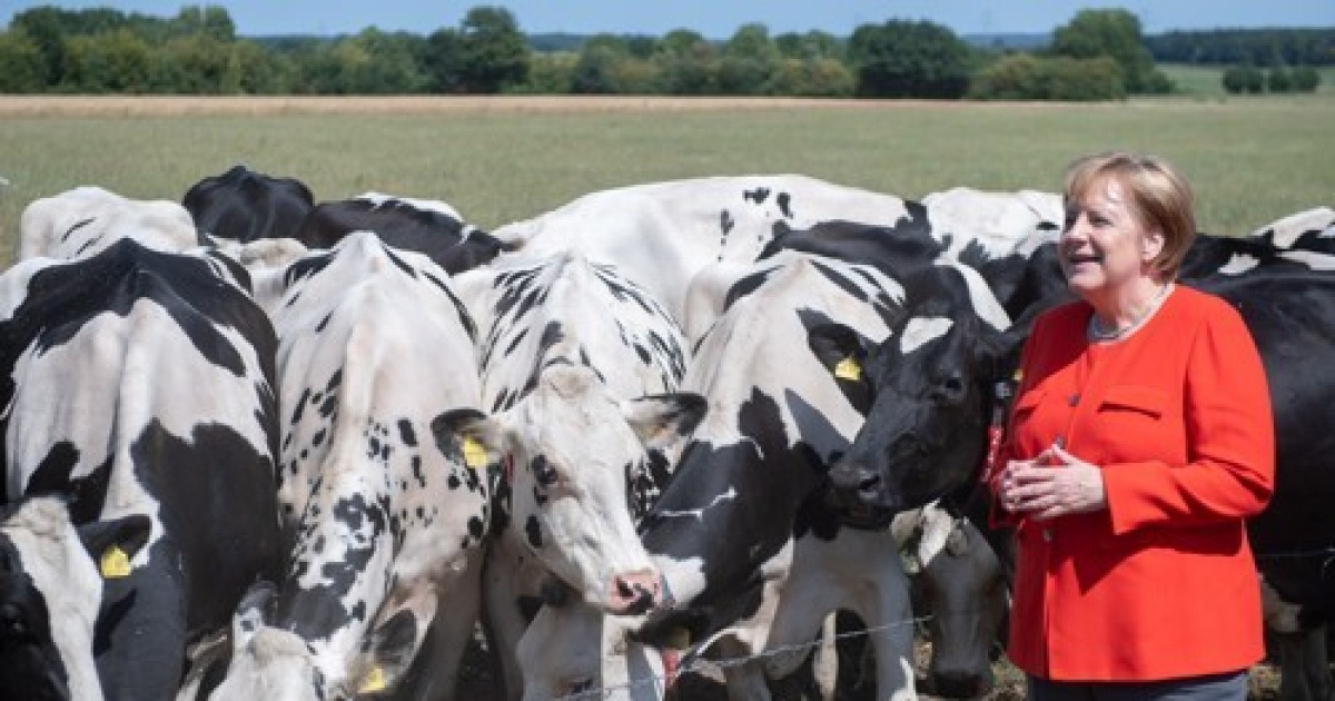 GERMANY MERKEL FARM VISIT