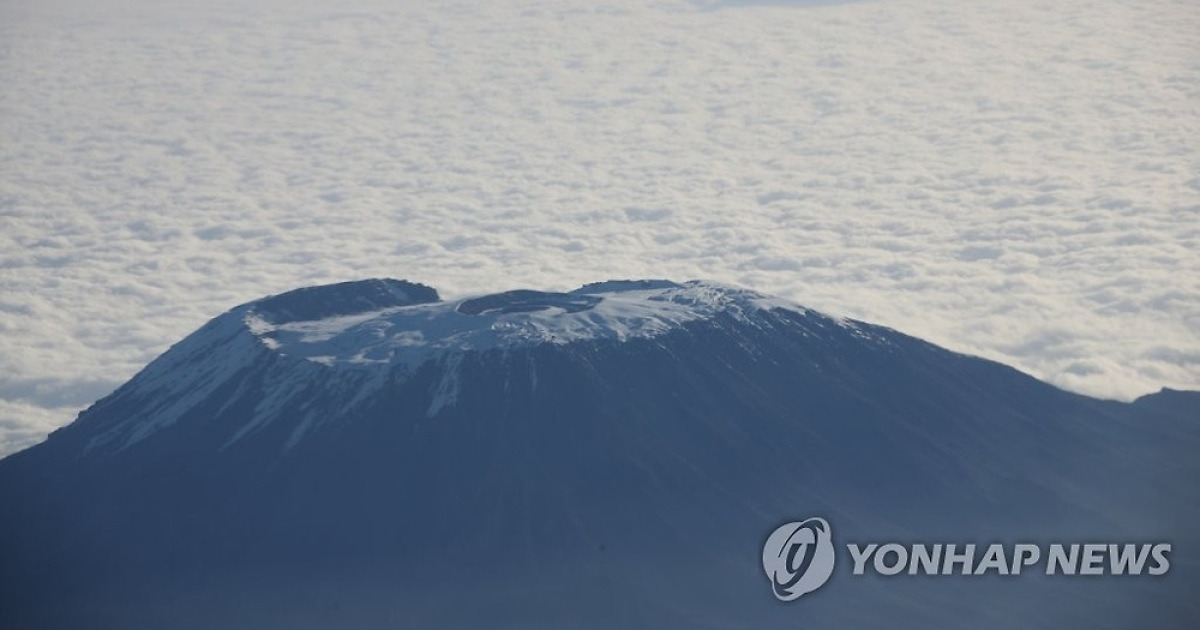 운해 위로 솟은 킬리만자로
