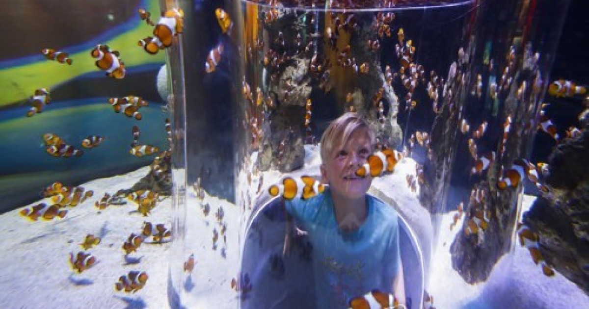 SOUTH AFRICA NATURE MARINE CONSERVATION