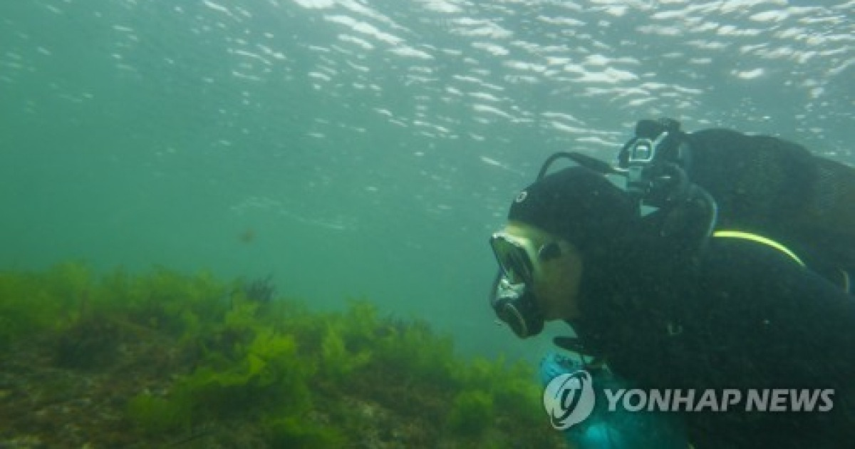 SOUTH AFRICA UNDERWATER SEA CLEAN UP
