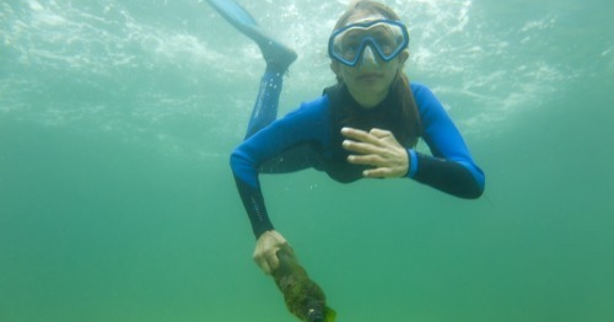 SOUTH AFRICA UNDERWATER SEA CLEAN UP