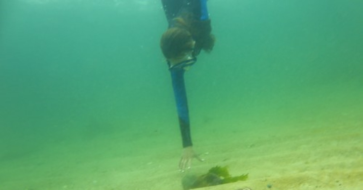 SOUTH AFRICA UNDERWATER SEA CLEAN UP