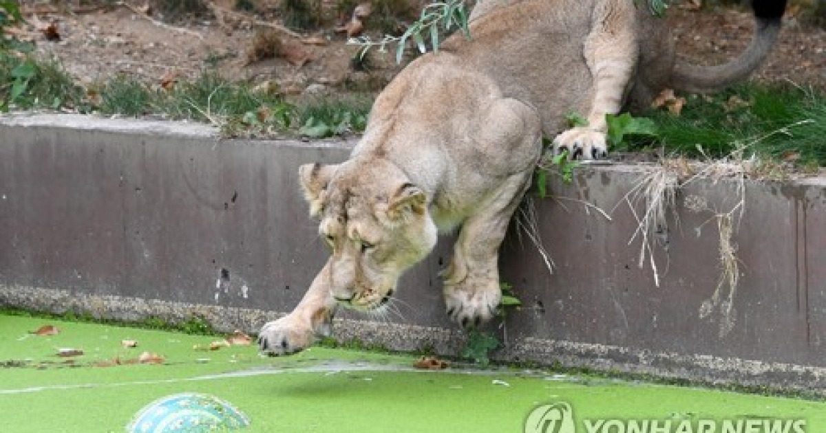 epaselect BRITAIN WORLD LION DAY