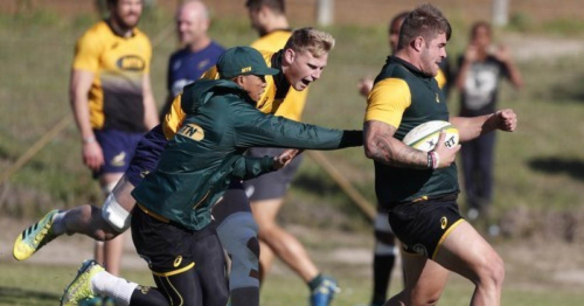 SOUTH AFRICA SPRINGBOK RUGBY PRACTICE