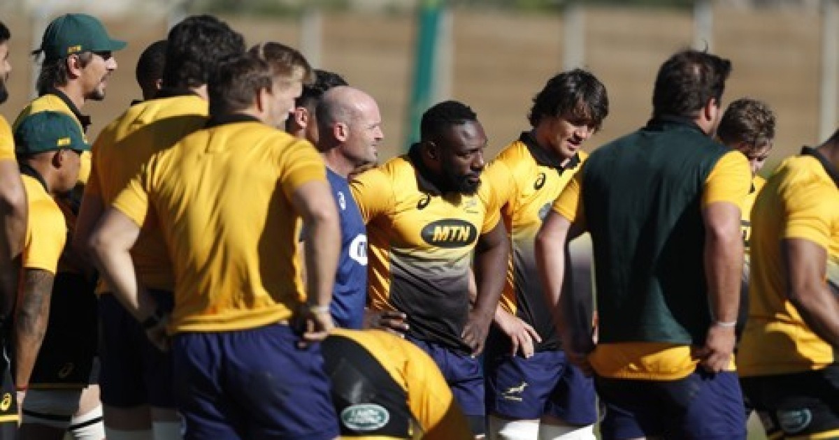 SOUTH AFRICA SPRINGBOK RUGBY PRACTICE