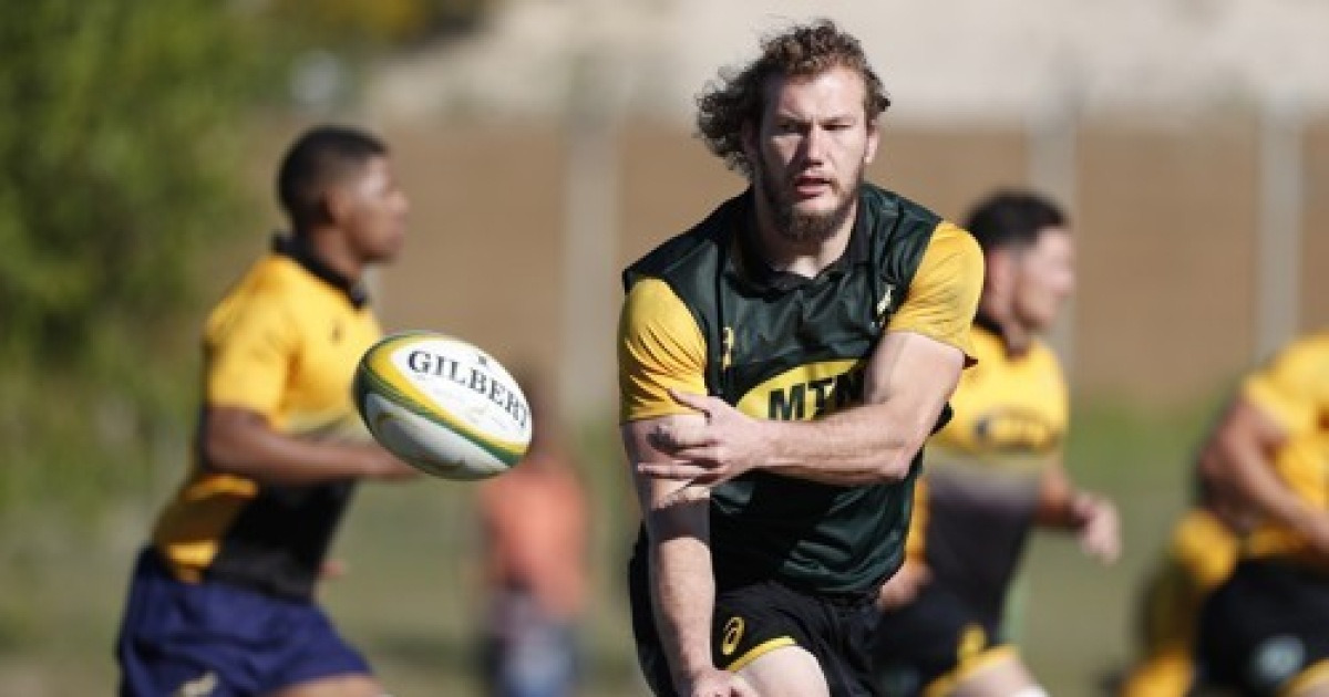 SOUTH AFRICA SPRINGBOK RUGBY PRACTICE