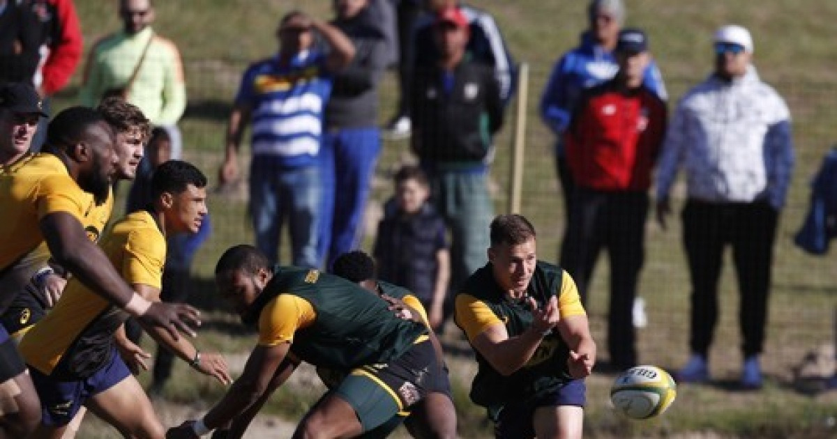 SOUTH AFRICA SPRINGBOK RUGBY PRACTICE