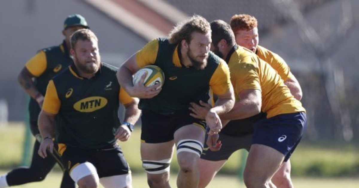 SOUTH AFRICA SPRINGBOK RUGBY PRACTICE