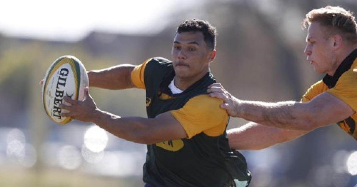 SOUTH AFRICA SPRINGBOK RUGBY PRACTICE