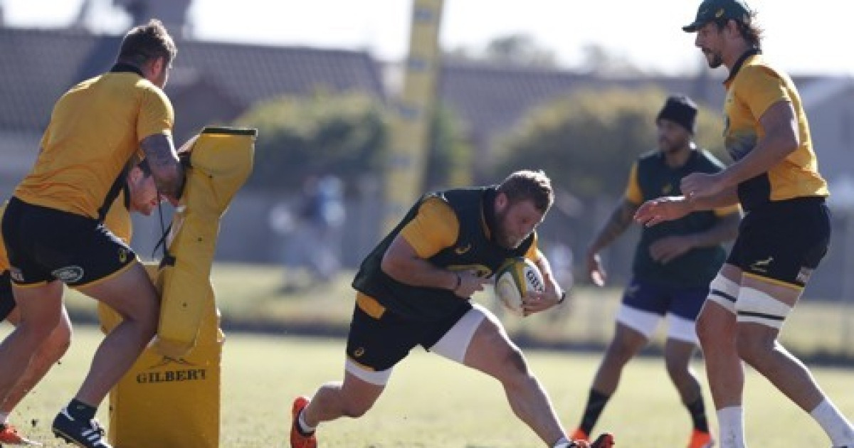 SOUTH AFRICA SPRINGBOK RUGBY PRACTICE