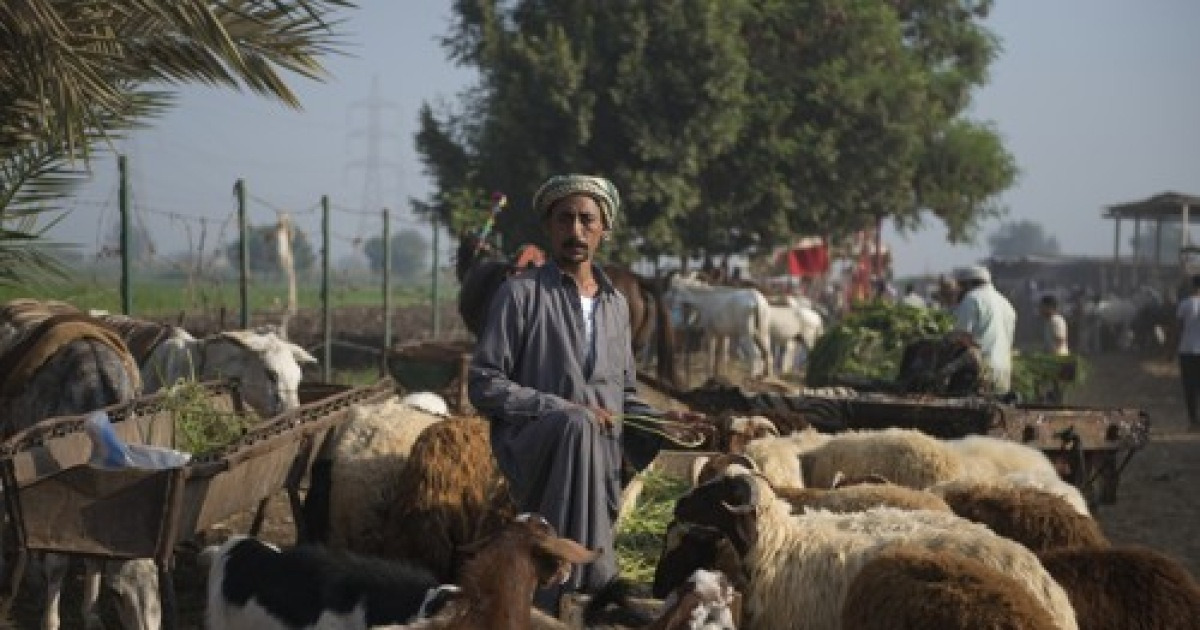 EGYPT EID AL-ADHA ISLAM BELIEF