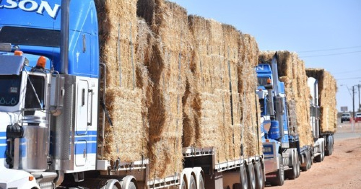 AUSTRALIA HAY TRANSPORT DROUGHT