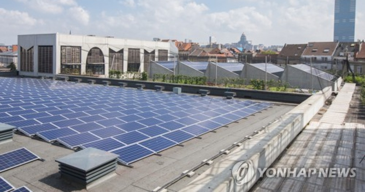 BELGIUM URBAN FARMING