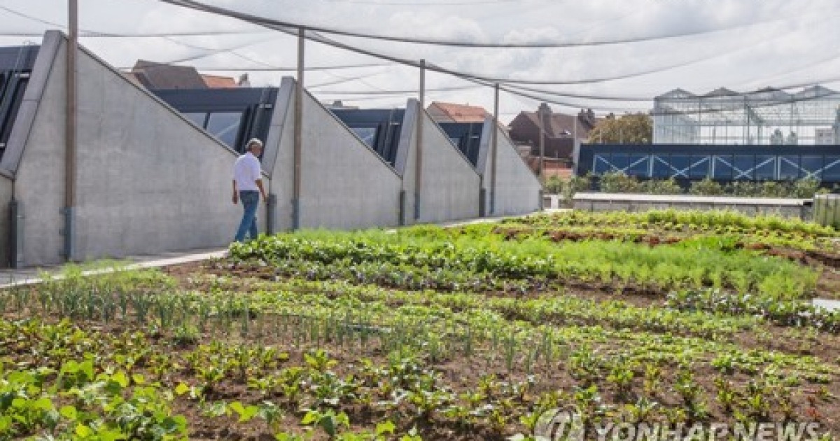 BELGIUM URBAN FARMING