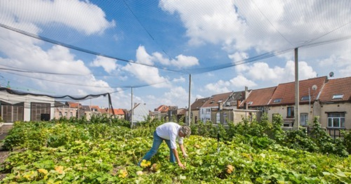 BELGIUM URBAN FARMING