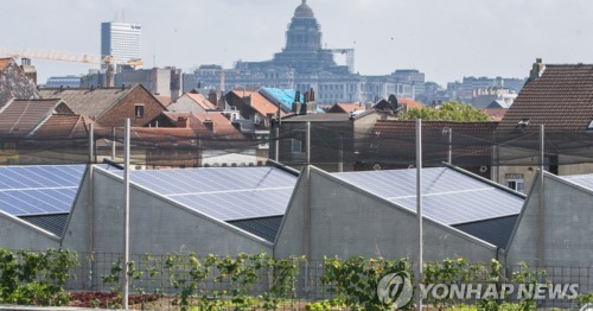 BELGIUM URBAN FARMING