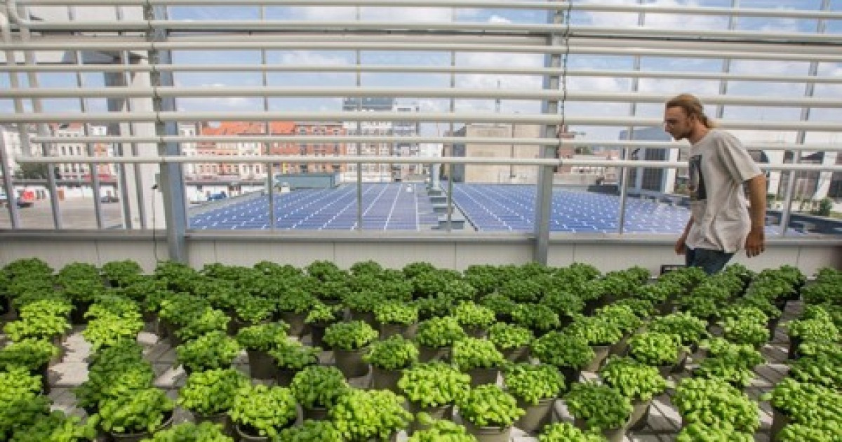 BELGIUM URBAN FARMING