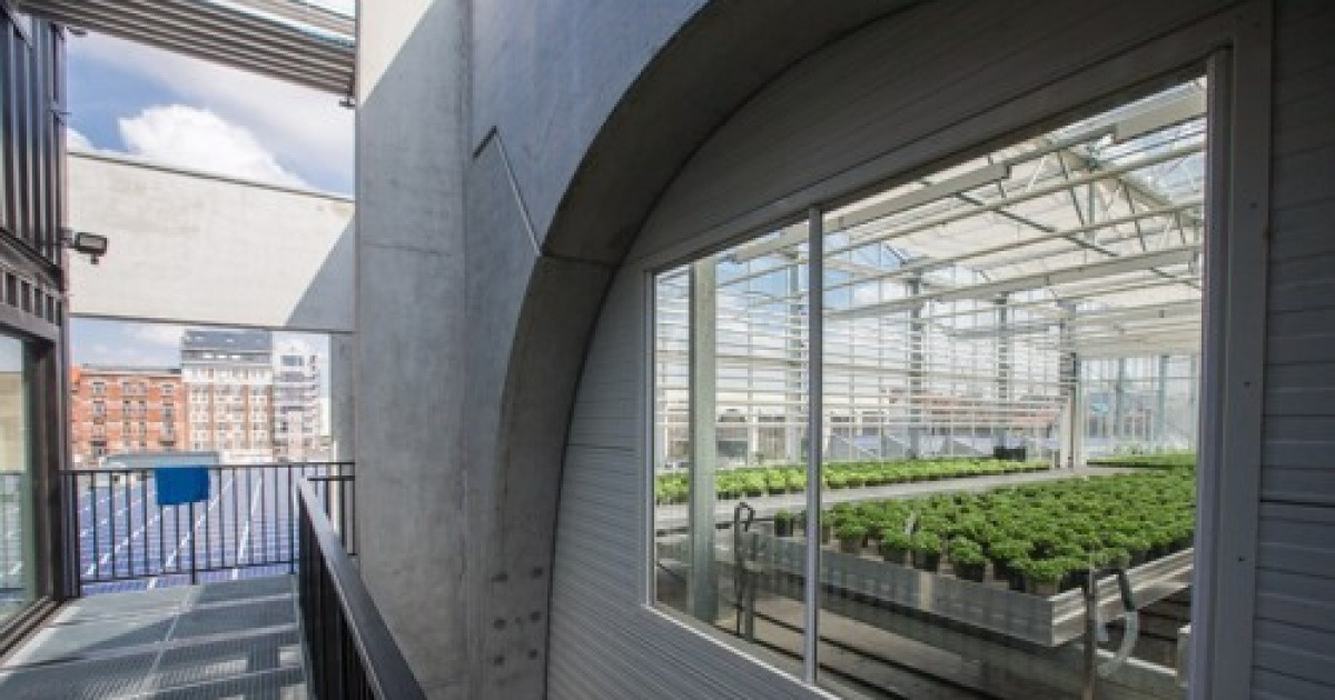 BELGIUM URBAN FARMING