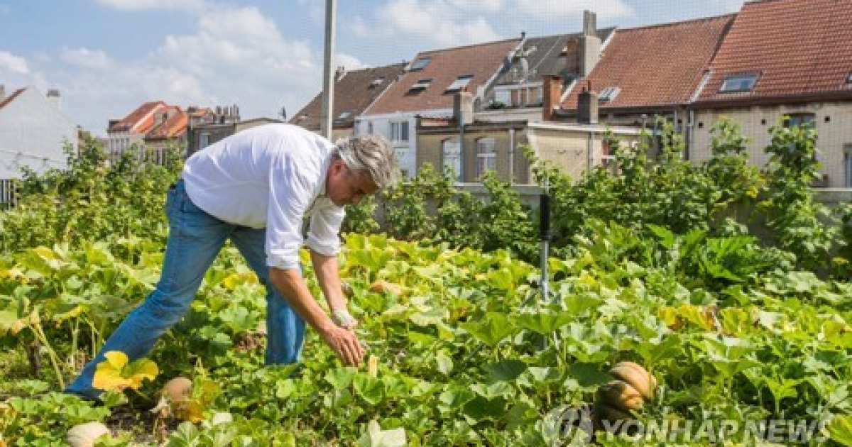 BELGIUM URBAN FARMING