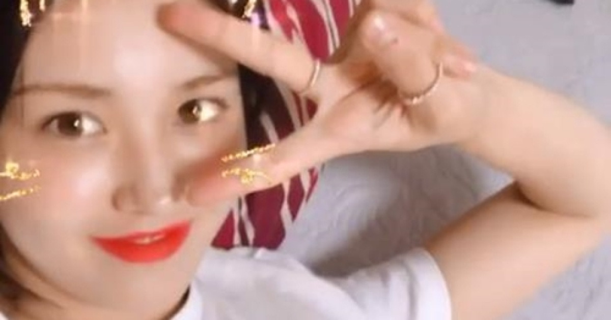 SNS]전소미, JYP 결별 후 전하는 첫 근황..애완묘와 휴식 중