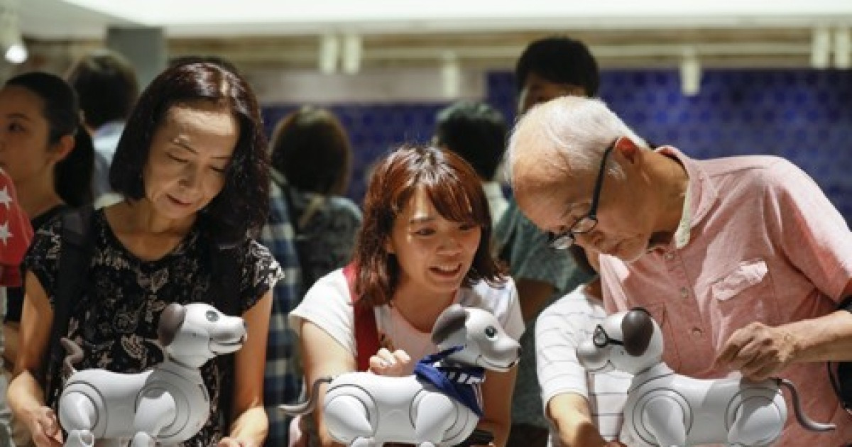 JAPAN SONY AIBO MEETING