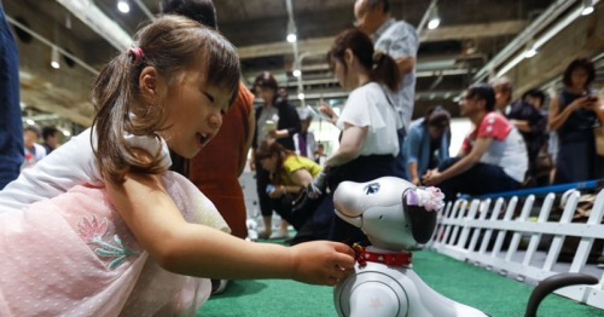 JAPAN SONY AIBO MEETING