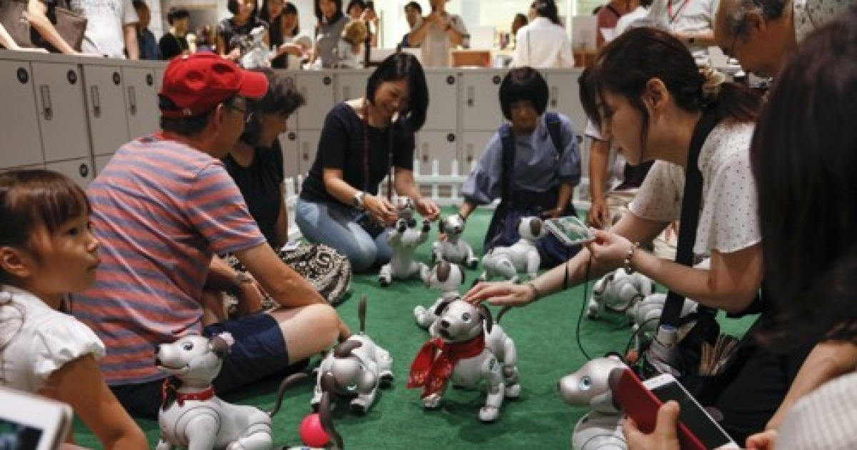 JAPAN SONY AIBO MEETING