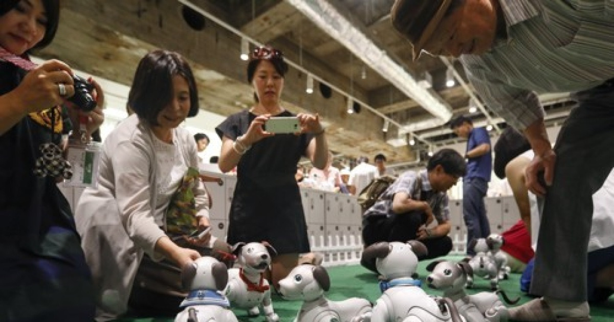 JAPAN SONY AIBO MEETING