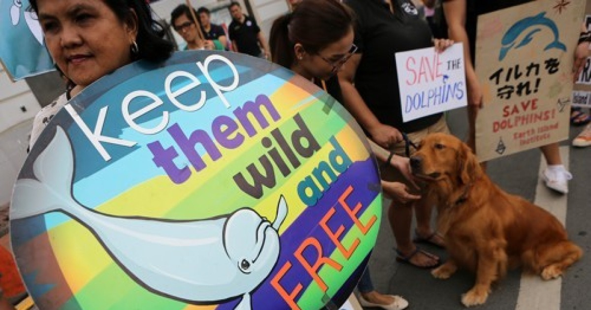 PHILIPPINES-PASAY CITY-PROTEST-DOLPHIN HUNT