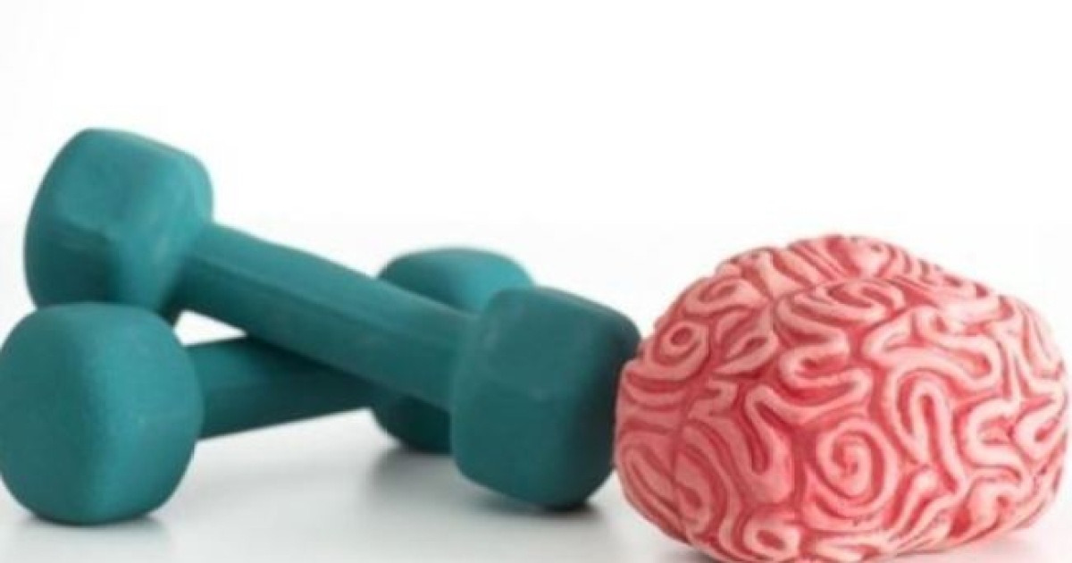 Macrogen launches DNA-based personalized home training service