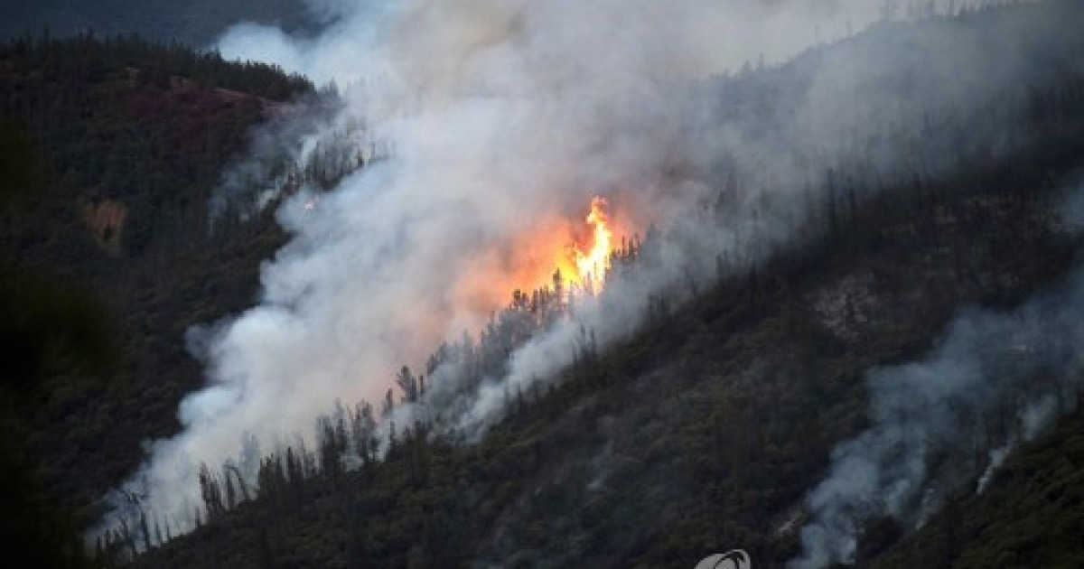 AP Explains Wildfires Ruin and Regeneration