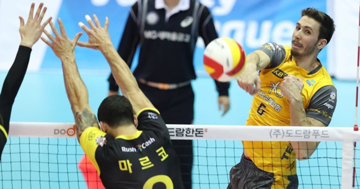 '알렉스 28점 폭발' KB손보, OK저축은행 꺾고 KOVO컵 2연승