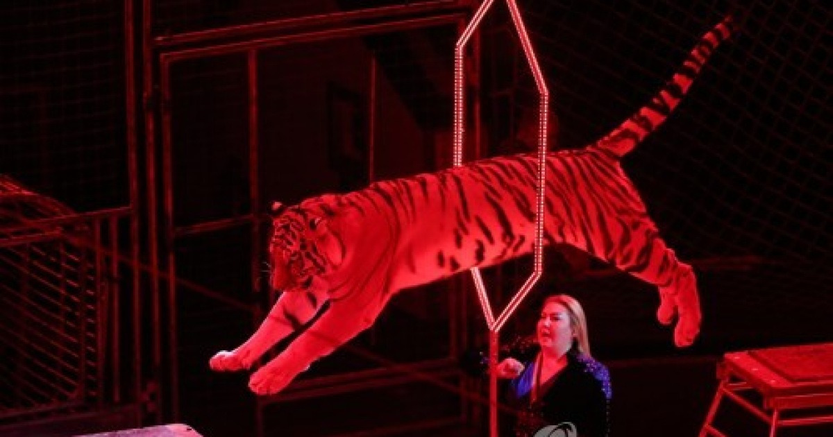 BELARUS CIRCUS